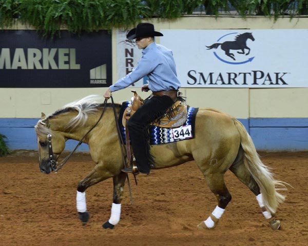 Vanlandingham Reining Horses